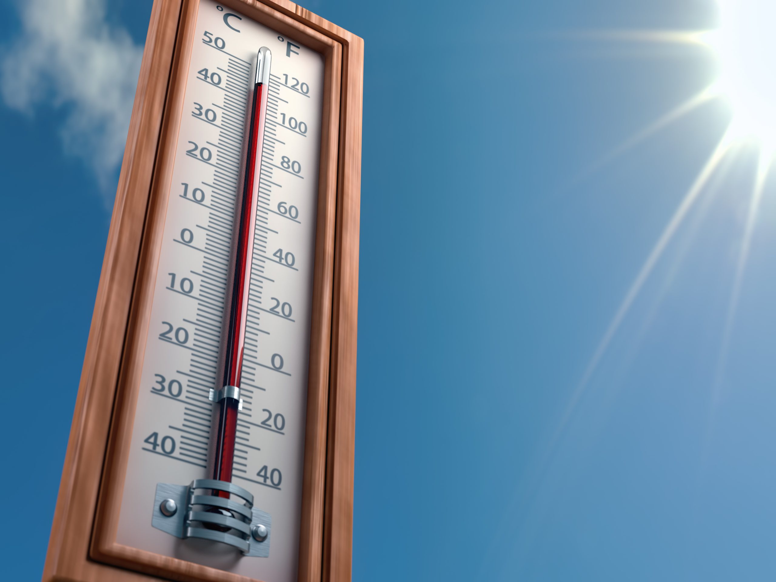 ¿Qué hacer durante el calor extremo? Aquí algunos consejos de seguridad ...