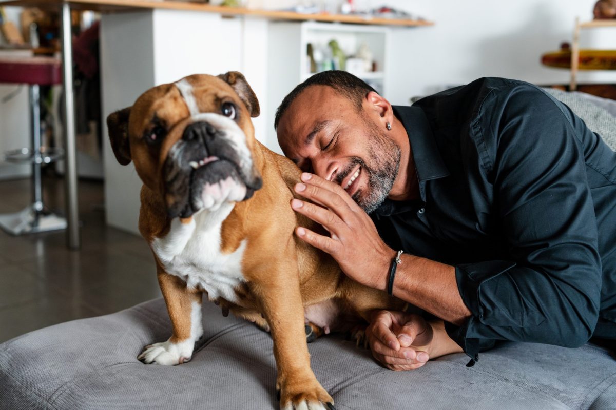 ¿Cuál es la edad de un perro en años humanos? Calcula aquí - La Noticia