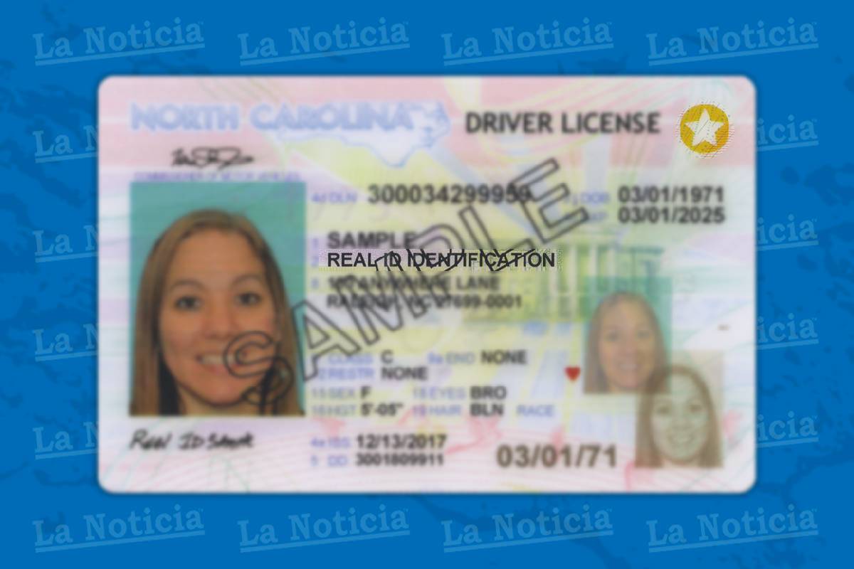 ¿Puede un inmigrante indocumentado tramitar la REAL ID en Carolina del Norte? - La Noticia